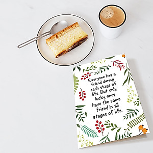 Best Friend Forever Card, Best Friend Birthday Card, Bday Card for BFF Bestie, Friendship Greeting Card, Have The Same Friend In All Stages Of Life