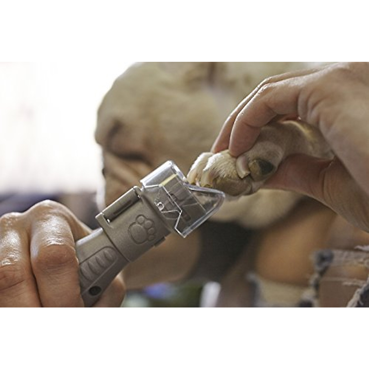 Dremel Pet Grooming Nail Guard Attachment, Ideal for Dog & Cat Nail Trimming, AT02-PGK