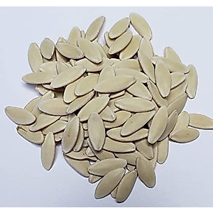 Crisp and Sweet “Beit Alpha” Cucumber Seeds – Harvest-Ready in Just 60 Days – Heirloom Seeds | Liliana's Garden |