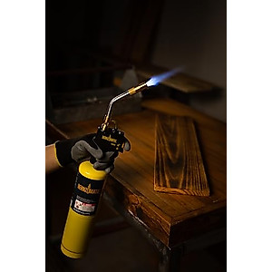 Bernzomatic TS4000 Trigger Start Torch 361524 (TS4000 Torch)