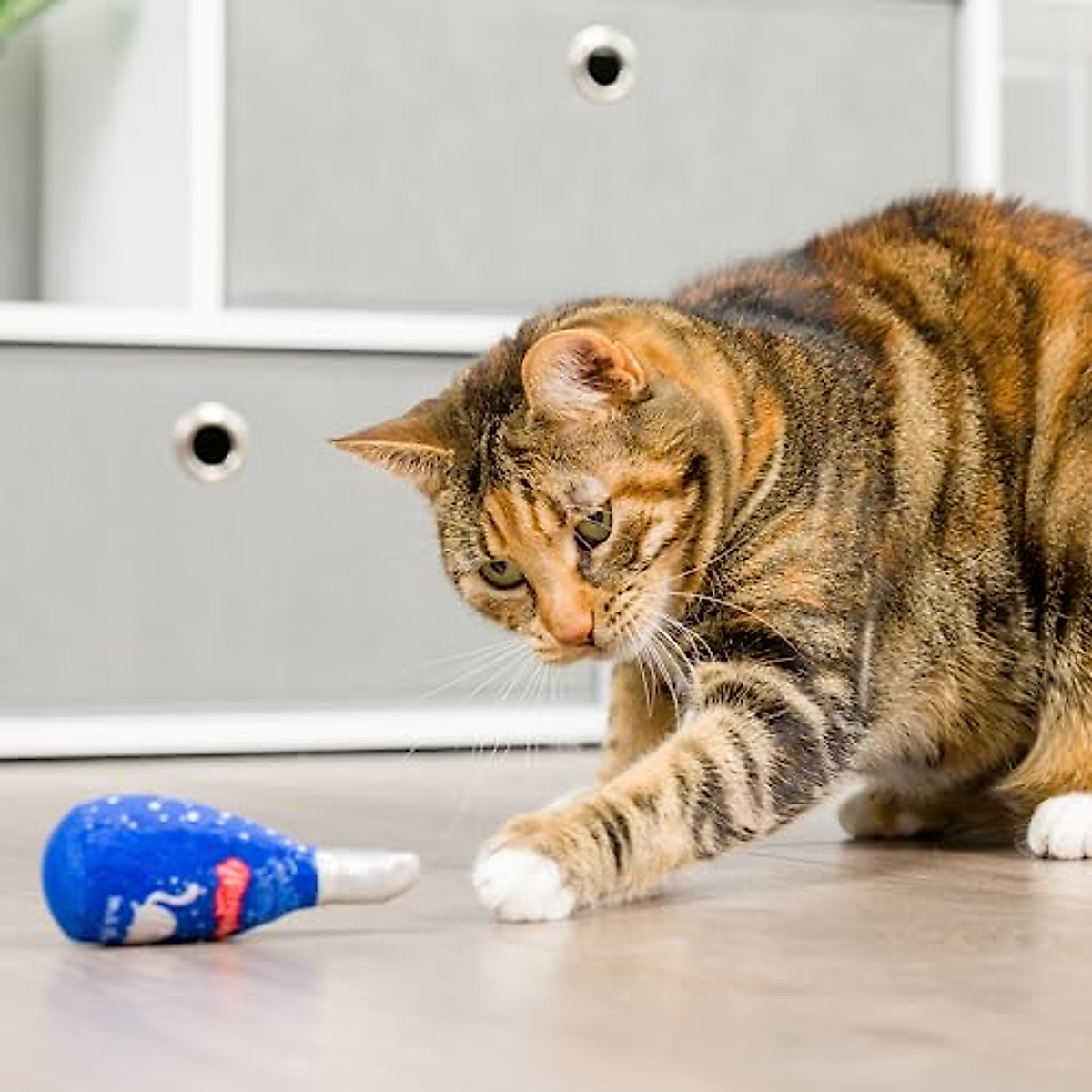 Huxley & Kent 2-Pack Plush Cat Toys | Jelly Roll & Meowchewitz | Hanukkah Holiday Strong Catnip Filled Cat Toy | Plush Kitten and Cat Toy with Catnip and Crinkle | Kittybelles