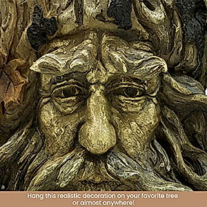 Bits and Pieces - 'Old Man' Tree Hanging Planter - Yard Decorations - Whimsical Tree Sculpture - Indoor/Outdoor Decoration - Garden Peeker Yard Art