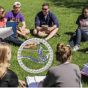 Sorority Inspired Jewelry Rhinestone Dove Brooch Pin 1920 Greek Sorority Jewelry Gift (Dove Brooch Pin)