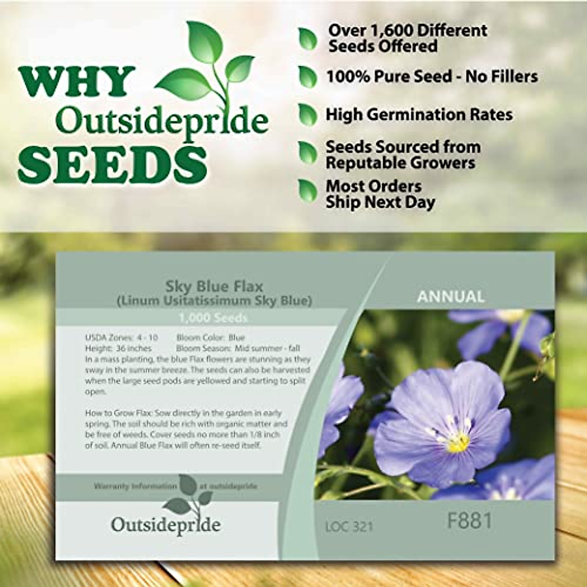 Outsidepride Linum Sky Blue Common Flax or Linseed Garden Flower Plant Seeds - 1000 Seeds