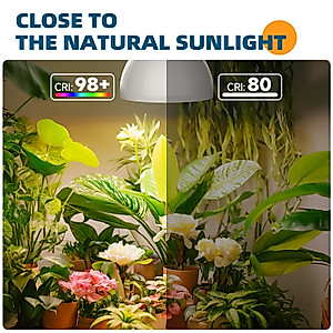 Barrina LED Grow Light Bulb, 50W Full Spectrum, with 16.4FT Power Cord, Hanging Grow Lights for Indoor Plants, Large Tall Plant, Garden, Flowers, Greenhouse, 2-Head