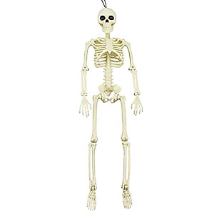 XONOR 16” Posable Halloween Skeleton- Full Body Halloween Skeleton with Movable Joints for Haunted House Props Decorations (1pc)