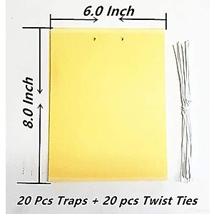 20 Count Dual Yellow Sticky Traps 8 X 6 Inch Set for Flying Plant Insect Like Fungus Gnats, Aphids, Whiteflies, Leafminers -Included 20pcs Twist Ties