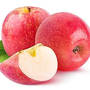 QAUZUY GARDEN 20 Premium Pink Lady Fuji Gala Apple Seeds, Tasty & High Yield, Non-GMO Heirloom Fruit Seeds to Plant Garden Outdoor, Attract Pollinators