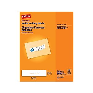 Staples 489561 Laser/Inkjet Address Labels 1-Inch x 4-Inch Bright White 20 Labels/Sheet