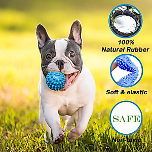 DGAGRCHEW Puppy Toys for Teething, Puppy Chew Toys for Small Dogs, Treat Dog Toys for Small Dogs 0-6 Months (Blue)