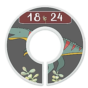 Mumsy Goose Baby Boy Clothes Dividers Nursery Closet Dividers Dinosaurs