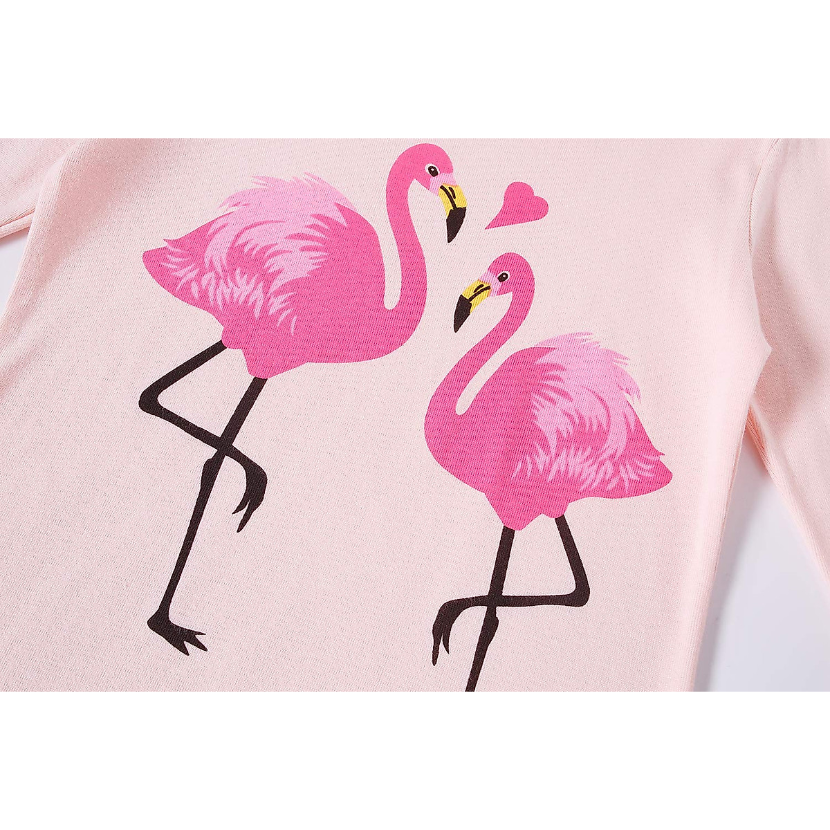 Popshion Little Girls Pajamas Sets Toddler Long Sleeve Leggings Outfits 2 Piece for Kids(Flamingos-6217 6T)