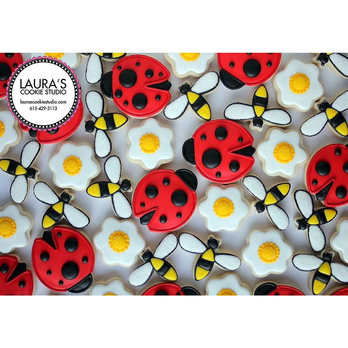 Ladybug Insect 3 Inch Cookie Cutter from The Cookie Cutter Shop – Tin Plated Steel Cookie Cutter – Made in the USA