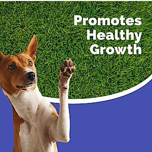 PETAVIT for Dogs and Cats