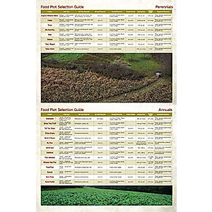 Whitetail Institute Imperial No-Plow Food Plot Seed (Spring and Fall Planting), 9-Pound (.5 acre), White