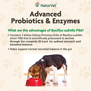 NaturVet Advanced Probiotics and Enzymes Supplement Digestive Enzymes - Plus Probiotics & Prebiotics Soft Chews, 70 Count Made in The USA with Globally Source Ingredients 70 Soft Chews