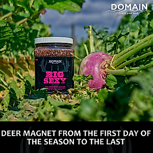 Domain Outdoor Big Sexy Food Plot Seed for Deer, 1/2 Acre, Turnip, Radish, Kale and Forage Rape, High Level of Nutrients & Protein to Support Antler Growth and Health, Fast Germination, Easy to Plant