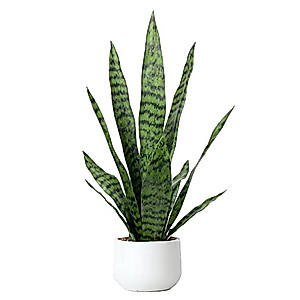 Bird Fiy Artificial Snake Plant 22" Faux Agave Fake Sansevieria Artificial Potted Plants for Indoor and Outdoor Home Office Décor (White Pot)