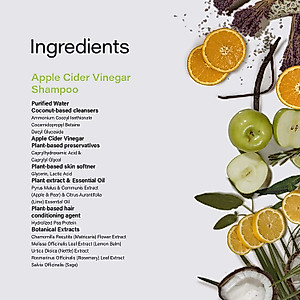 Phillip Adam Apple Cider Vinegar Shampoo for Shiny Hair - Sulfate Free and Paraben Free - Original Green Apple Scent - 12 Ounce