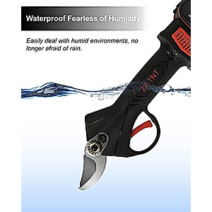 ZR-TNT Electric Pruning Shears Cordless 21V with 2000mAh 2PCS Lithium Battery and Matching Tools,30mm (1.2″) Cutting Diameter,Tree Branch Flowering Bushes Trimmers for Gardening (Black)