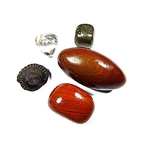 XUETZALCOATL Panchayatan Sona Bhadra Ganesh, Vallam Sun God, Shaligram Vishnu, Banalingam Shiva, Swarnamukhi Shila Devi for Pooja