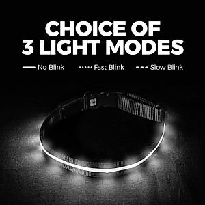 Blazin Brightest Light Up Dog Collars - The Original LED Dog Collar with 1,000 Feet of Visibility - USB Rechargeable Waterproof Dog Collar Light - Dog Lights for Night Walking - USA Brand