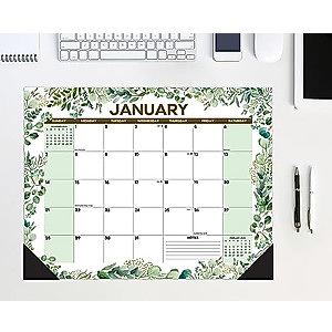 Willow Creek Press Eucalyptus & Succulents Monthly 2024 Deskpad Calendar (22" x 17")