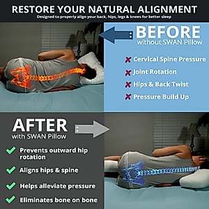 Contour Swan Body Pillow w/ Pillowcase & Mesh Laundry Bag