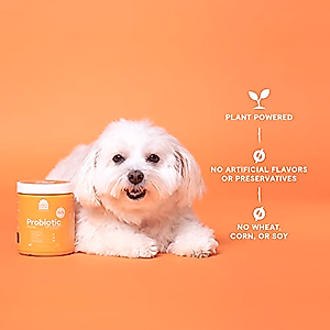 Open Farm Probiotic Chews, Dog Supplement, Dog Vitamins, Supports Normal Flora and Bowel Movement Using Traceable and Vet-Approved Ingredients, 12.7 oz, 90 Count