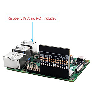 GeeekPi TPM2.0 Module for Raspberry Pi, TPM9670 Module Based on an Infineon Optiga™ SLB 9670 TPM 2.0,add-on GPIO TPM Module Compatible with All Raspberry Pi Models