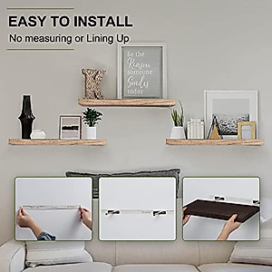 Floating Shelves, 17 Inch Wall Shelf Set of 3, Rustic Wood Shelves for Wall Storage, Wall Mounted Wooden Display Shelf for Bathroom Bedroom Kitchen Garage, Carbonized Black