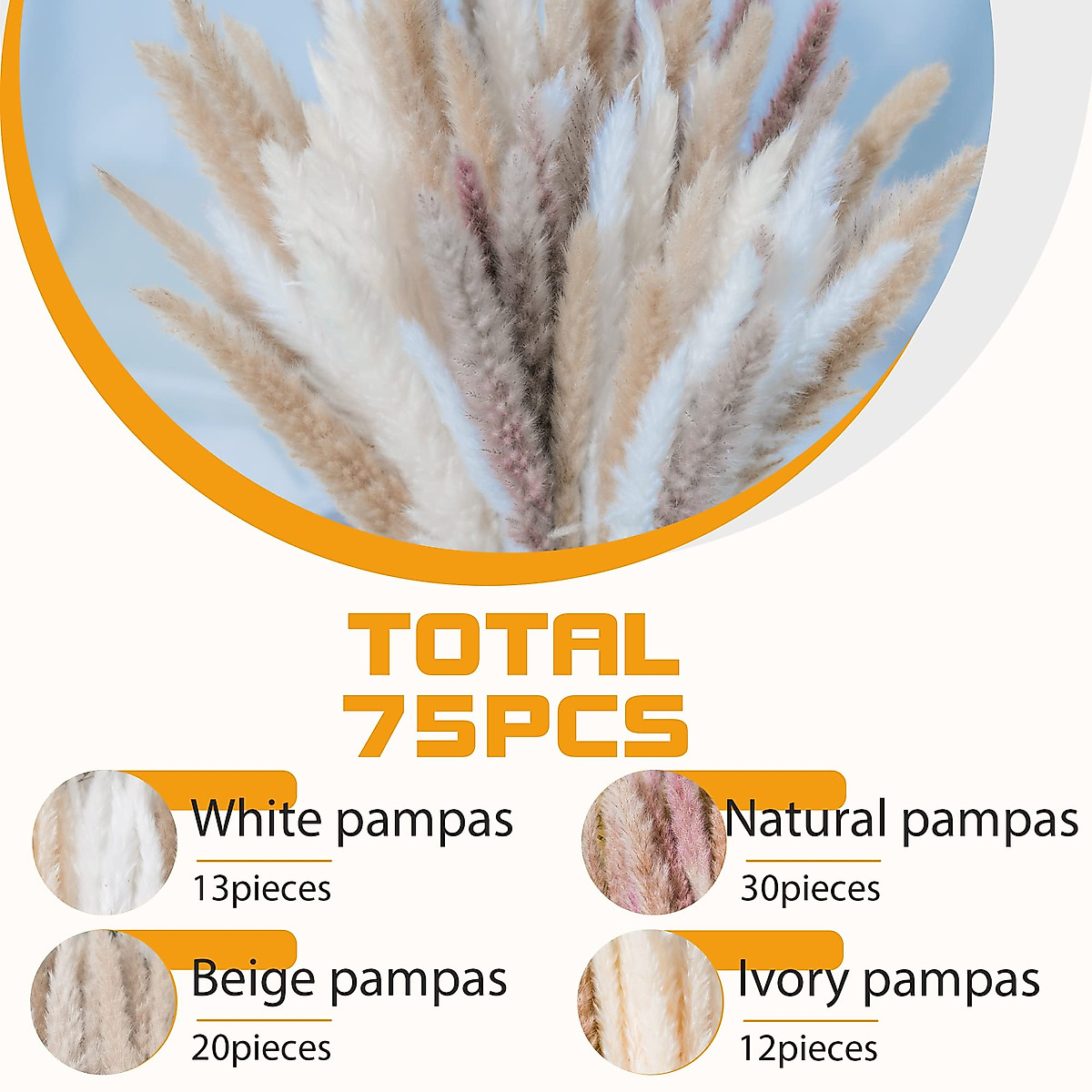 MnS Glam 75 Pc Natural Dried Pampas Grass-25 Pc Cream White Pampas/ 30 Pc Brown Pampass/ 20 Pc Beige Pompus Reed Grass 17.5" Fluffy Stems Dry Pompous Bouquets for Home Decor Wedding Flower Arrangement