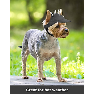 Dog Hat for Small Dogs and Medium Dogs Girl Boy Hats for Dogs Adjustable Dog Bucket Hat Puppy Sun Hat Spring Summer Pet Baseball Cap Doggy Visor (Black, Large(15lbs+))