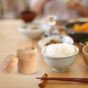 DOITOOL Bamboo Toothpick Dispenser Toothpick Boxes Decorative Toothpick Jar Fruit Picks Cotton Swabs Container for Home Restaurant Hotel Random
