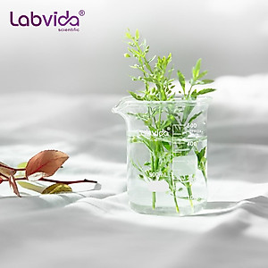 Labvida 12pcs of Glass Beakers Shot Glass, Vol.25ml, 3.3 Borosilicate Griffin Low Form with Printed Graduation, LVA001