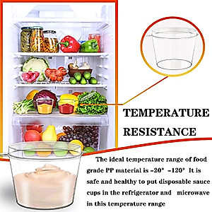 XINGLIAN 100 Pieces Plastic Souffle Cups, 1 OZ Disposable Clear Leak Proof Sauce Cup With Hinged Lid, Used for Various Sauces, Food Samples, Storage Crafts