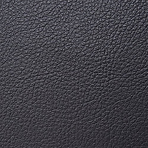 Coaster Samuel Transitional Leather Sofa, Black