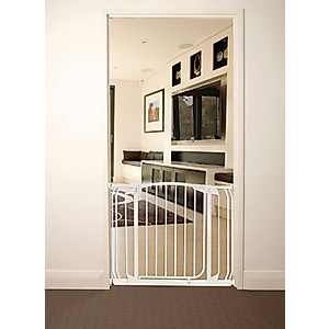 Dreambaby Chelsea Auto-Close Security Baby Safety Gate-with Extensions-White (Fits openings with 28-39 Inches wide)-Model L778W