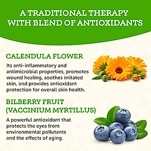 Animal Essentials Eye Defense for Dogs & Cats - Eye Support, Ocular Health, Lutein-Rich Formula, Herbal Blend, Bilberry, Calendula - 1 Fl Oz