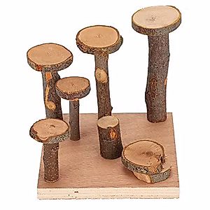 Oreilet Hamster Guinea Pig Toys, Wooden Hamster Climbing Toys Durable Natural Hamster Wooden Square Hamster Chew Toys Set, Gerbils Pets for Small Animals Pets(Apple Wood Column, S, Blue)