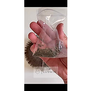 Snuffle Paw Accordion for Cats - Magic Organ Cat Scratching Board - Interactive Cat Scratching Board - Magic Cat Grinding Claw Board - Cat Scratching Magic Toy, (l1)