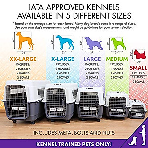 SportPet Designs Plastic Kennels Rolling Plastic Wire Door Travel Dog Crate - Medium, Gray (CM-2001-CS01)