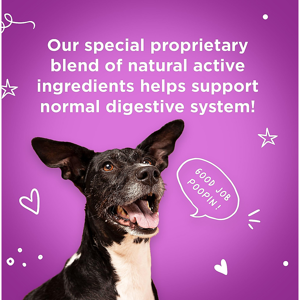 First Impressions No Scoots, Good Poops for Dogs - Tasty Soft Chews for Healthy Anal Gland and Digestion, High in Fiber for Dogs - with Beet Pulp, Psyllium Husk, and Pumpkin - 60 ct