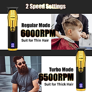 HINSN Men's Cordless Hair Clippers, Rechargeable Beard Trimmer with LED Display, Low Noise Body Haircut, Painless Cutting, Gift for Dad and Husband