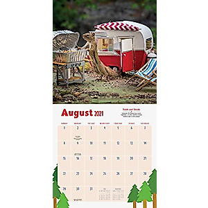 The Secret Life of Squirrels Wall Calendar 2021