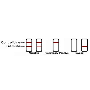 WaiveDx Xylazine (XYL) Test Strips-5 Strips Per Kit