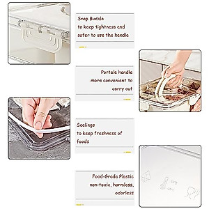 amokk Divided Serving Tray with Lid and Handle Snackle Box Charcuterie Container Portable Snack Platters Clear Organizer for Candy, Fruits, Nuts, Snacks, for Party, Entertaining, Picnic (Rectangular)