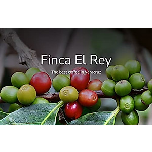 Finca El Rey, Organic Coffee Beans Whole, Veracruz Mexico Single Origin, Coffee Whole Beans, Whole Bean Coffee Medium Roast Coffee, Coffee Organic, Expresso Beans, Certified USDA Organic, 1LB Bag
