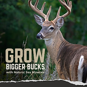 TROPHY ROCK Redmond All-Natural Mineral Rock/Salt Lick, Attract Deer and Big Game 12 pounds