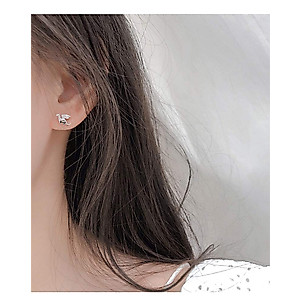 Small Dragon Earrings Stud for Women Girls Sterling Silver Hypoallergenic Cubic Zirconia Tiny Dinosaur Brontosaurus Animal Cartilage Tragus Post Polished Fashion Cute Jewelry Birthday Gifts (Silver)